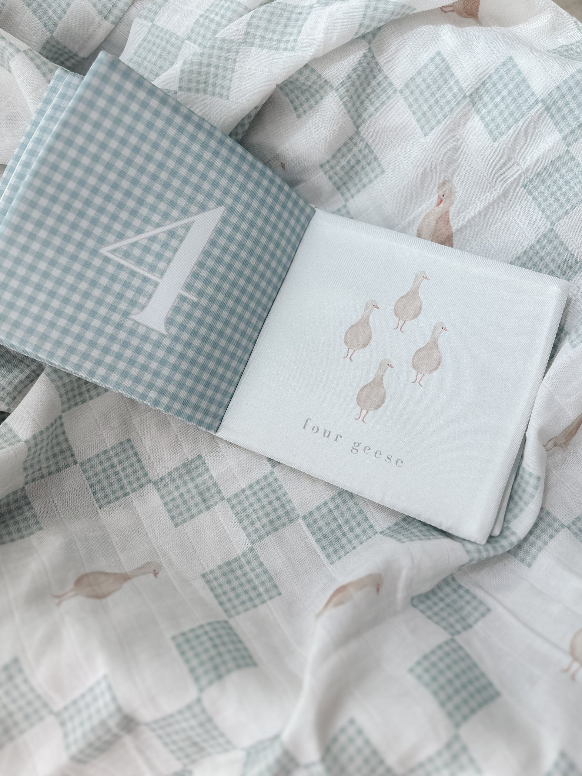 Pop Ya Tot How Many Geese in a Gaggle Crinkle Book – Classical Child