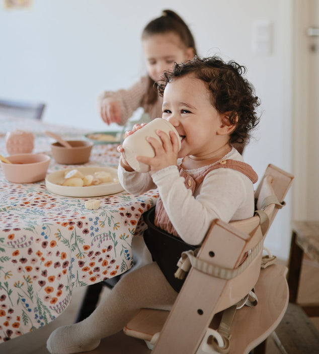 Classical Ambassadors – Classical Child