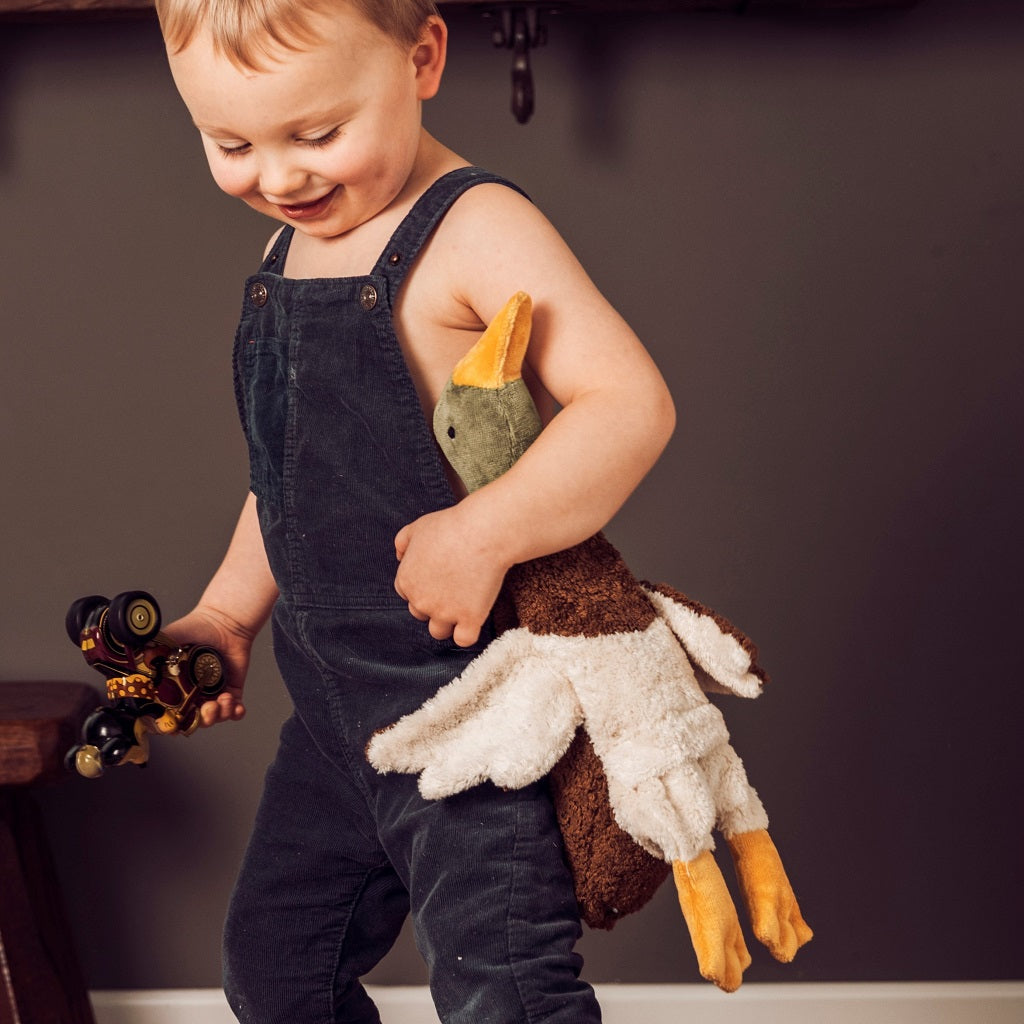 Senger Naturwelt - Small Drake – Classical Child